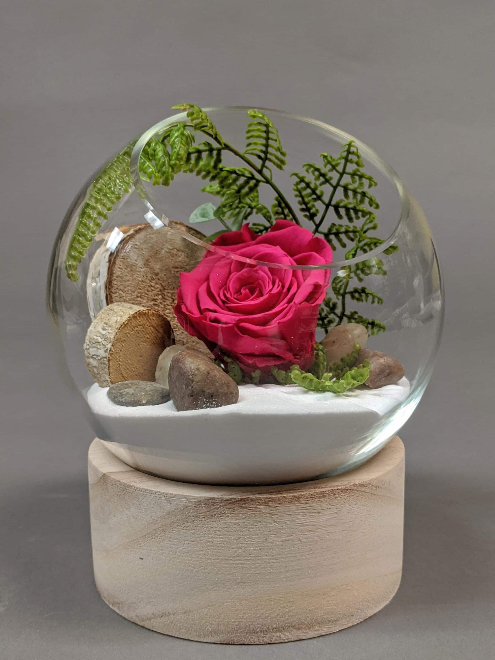 Rose éternelle RO001 - Fleurs et jardins Lemieux